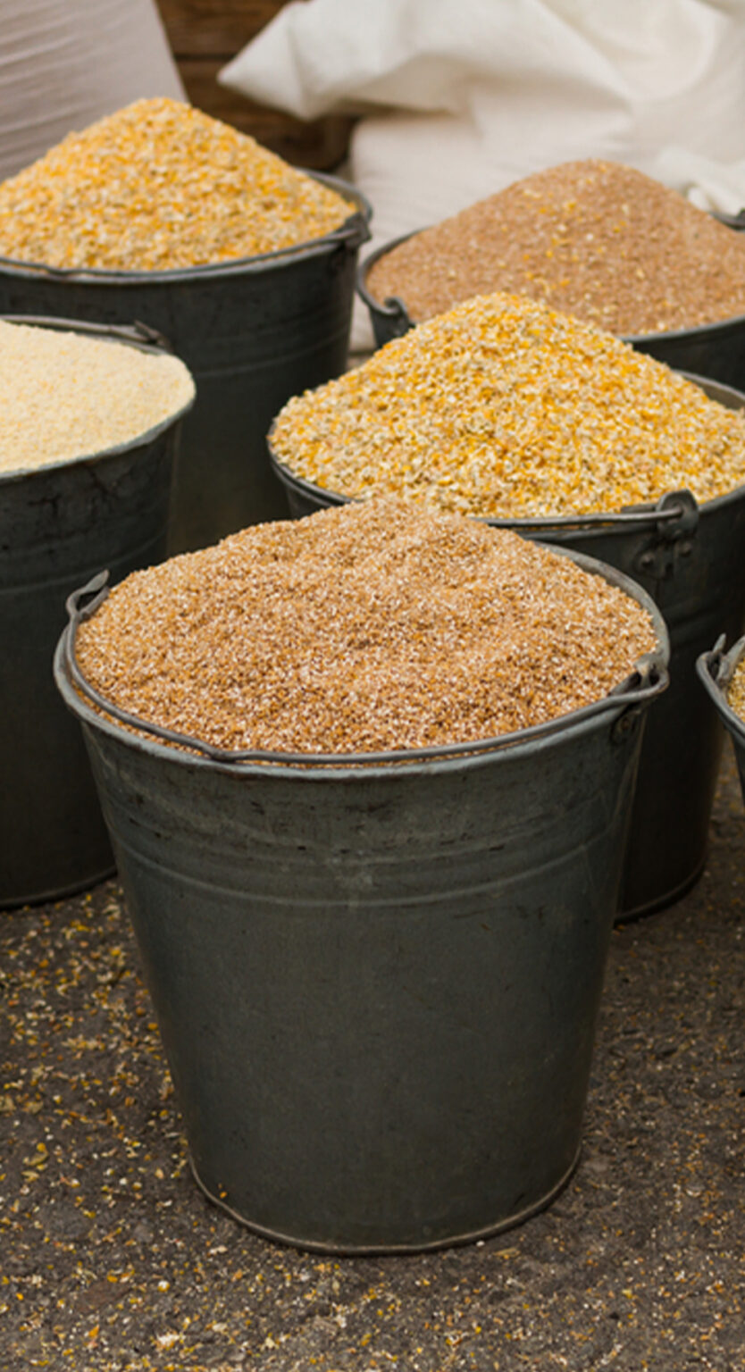 Pakistan's Largest Himalayan Salt Manufacture